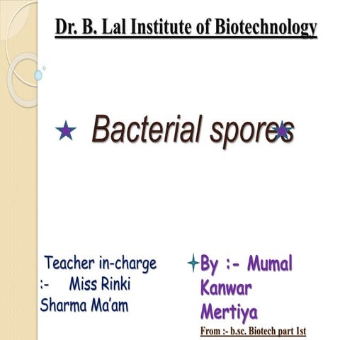 bacterial spore.ppt