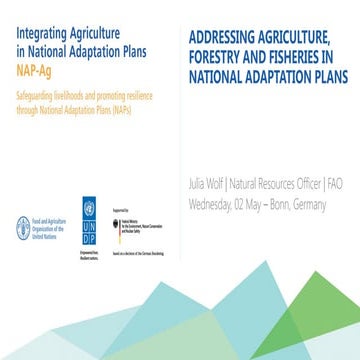 Addressing agriculture, forestry and fisheries in national adaptation plans | PPT