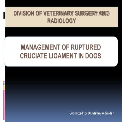 Management of cruciate ligaments in dogs.pdf