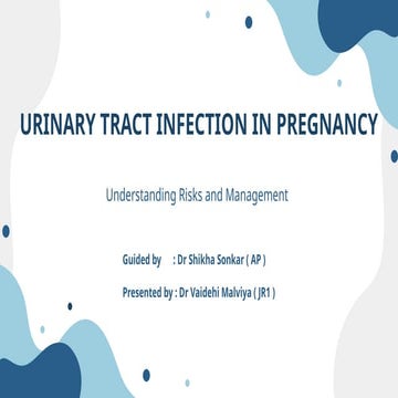Final PPT Urinary Tract Infection In Pregnancy -1-1.pptx