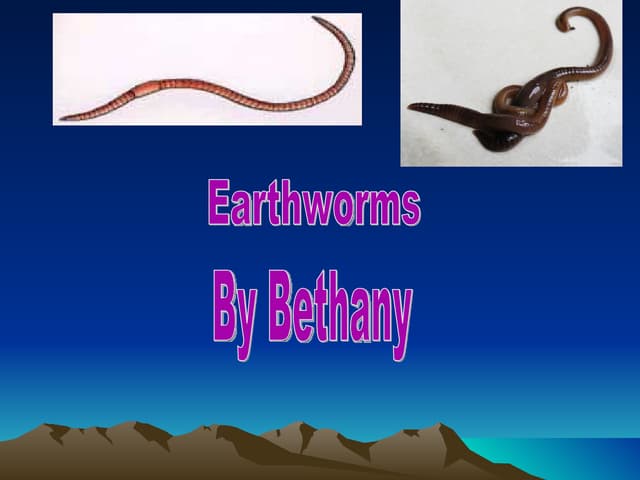 Echolocationandbatsczequeira | PPTX