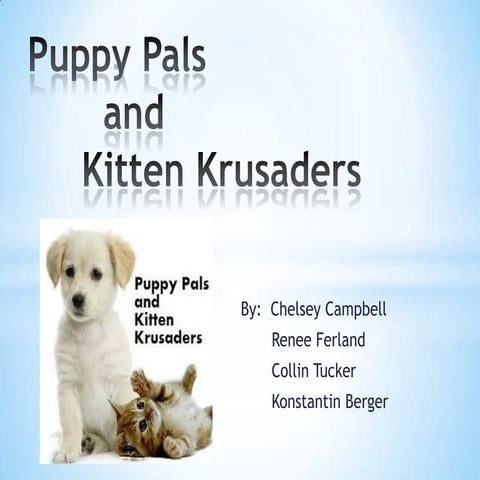 Animal Shelter Strategic Plan | PDF