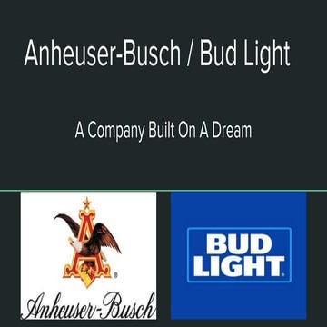 Anheuser-Busch / Bud Light Digital Strategy | PPT