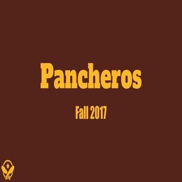 Pancheros Campaign Presentation | PPT