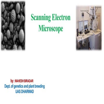 Scanning electron microscope (SEM) | PPTX