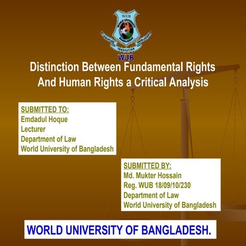 Distinction between Fundamental Rights and Human Rights a Critical ...