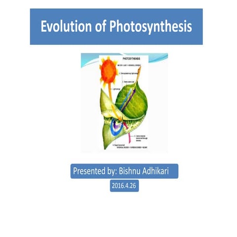 Evolution of photosynthesis | PPTX