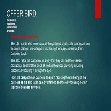 OFFER BIRD BUSINESS PLAN | PPT