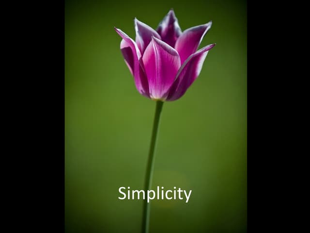 Photography Composition Rules | PPTX