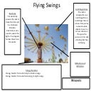 Fairground Example Layout