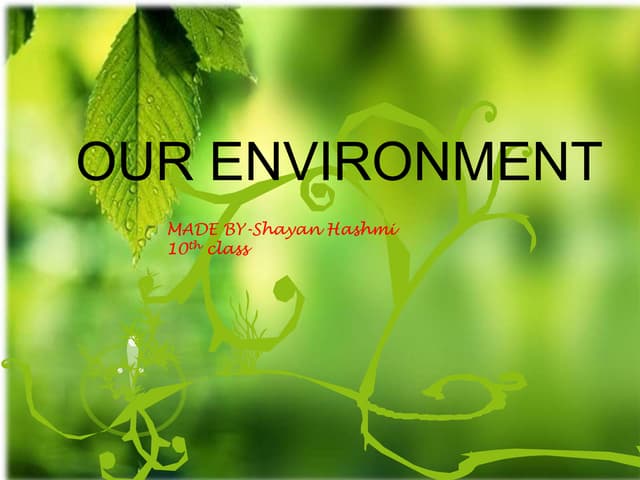 Environment ppt | PPTX