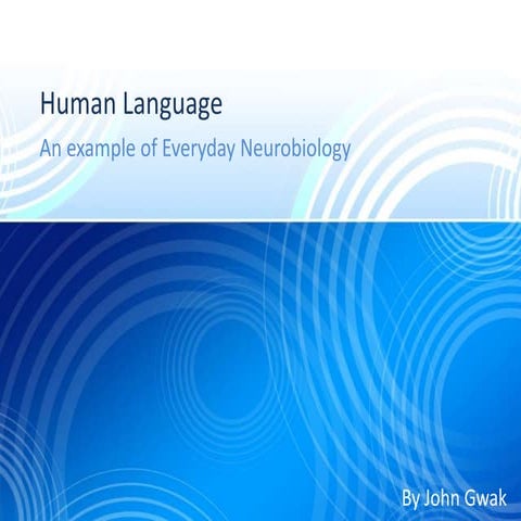 Neurobiology - Final Project | PPTX