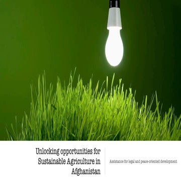 Alternative Development | PPTX