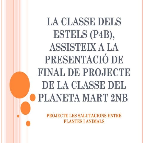 Final projecte fotos p4 2nb blog | PPT