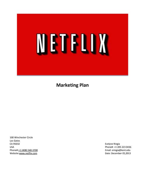 Netflix Public Relations Campaign Conclusion Assignment | DOCX
