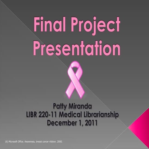 Final project presentation | PPT