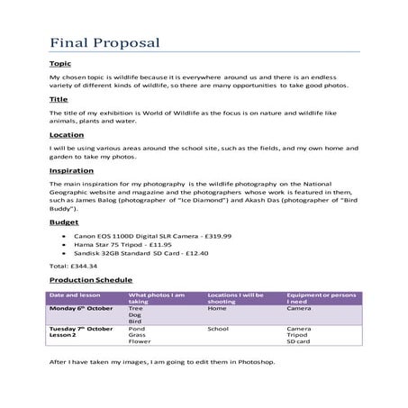 Final proposal | DOCX | Cameras and Camcorders | Consumer Electronics