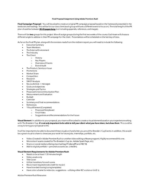 ADOBE SPARK ASSIGNMENT | PDF