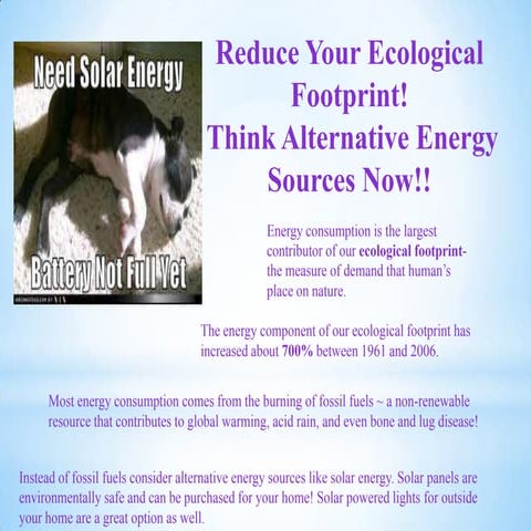 Ecological Footprint PSA | PPTX | Indoor Environmental Quality | Home ...