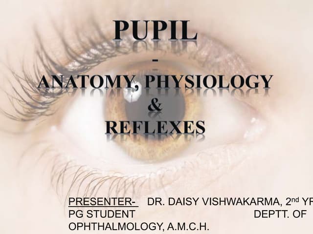 PATHWAY OF LIGHT REFLEX AND NEAR REFLEX.pptx
