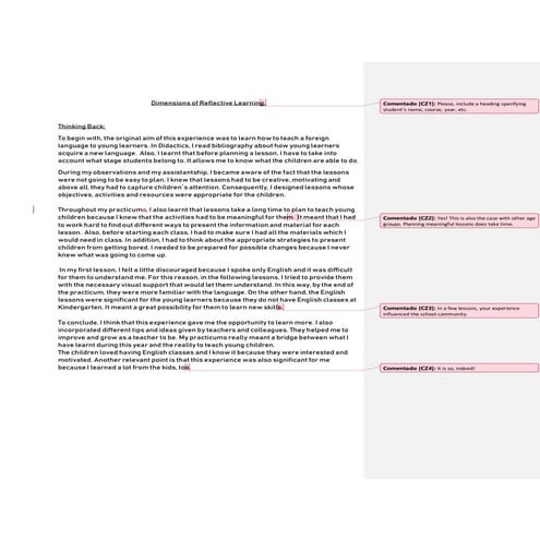 Final reflection iannaci - checked | PDF