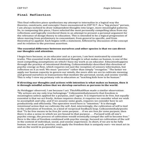 Final reflection johnson | PDF