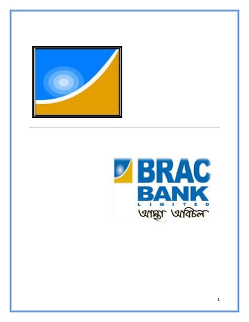 Brac sme banking activitis letter of transmittal | PDF