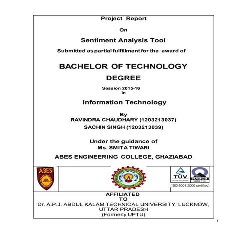 sentiment analysis report | PDF