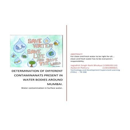 SURFACE WATER CONTAMINATION | PDF