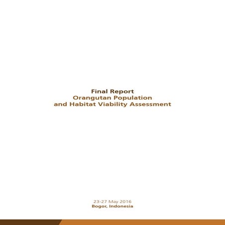 Final Report.pdf