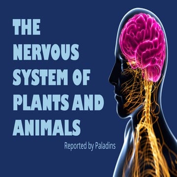 Animal Nervous System Animals To Education.pptx