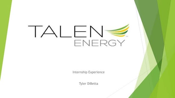 Internship Overview | PDF
