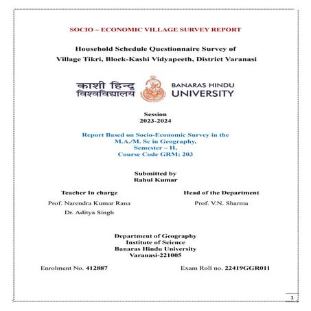 tikari village VARANASI survey report .pdf