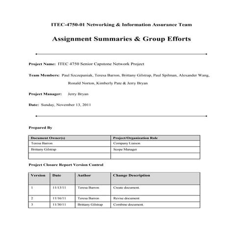 Final Report Summary Group Effort | PDF