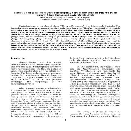 Final research paper | DOCX