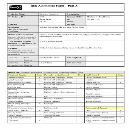 Final risk assessment | DOCX