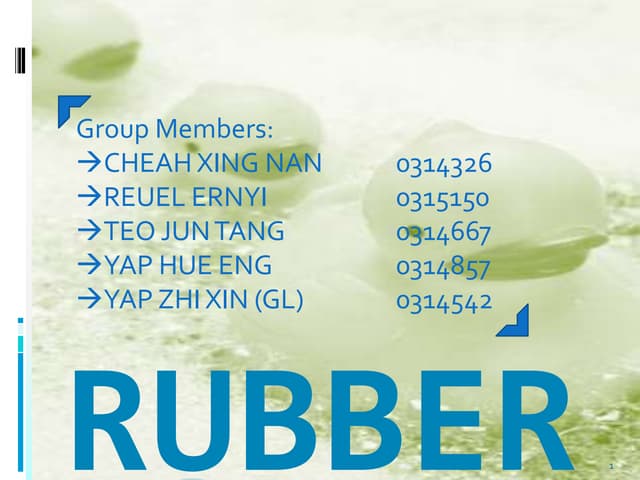 Rubber hrvest and processing 3 | PPTX