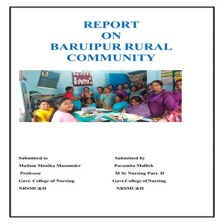 FINAL RURAL VISIT REPORT 2024 .pdf for third year GNM students | PDF
