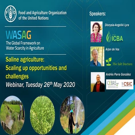 Saline Agriculture: Scaling up Opportunities and Challenges | PDF