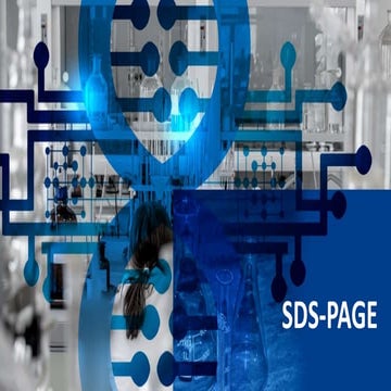 final sds ppt.pptx | Chemistry | Science