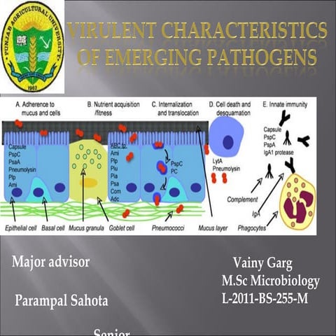 virulent characteristics of emerging pathogens | PPT