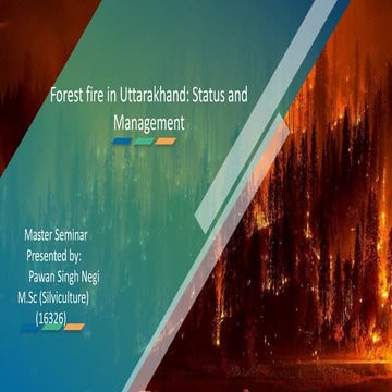 Wildfires | PPTX