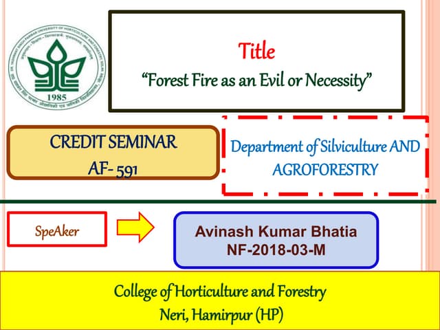 Cyclone Case Study Odisha 1999 Super Cyclone in India. | PPTX | Weather ...
