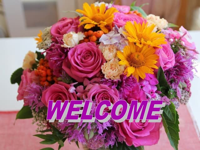 Lesson 15_Hydrograph Separation.pdf | Geology | Science