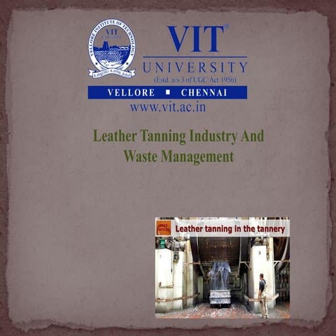 Leather Tanning Industry And their Waste Management | PDF