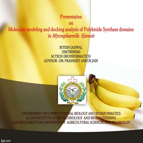 Structure Prediction Of Polyketide Synthase And Docking Of Suitable