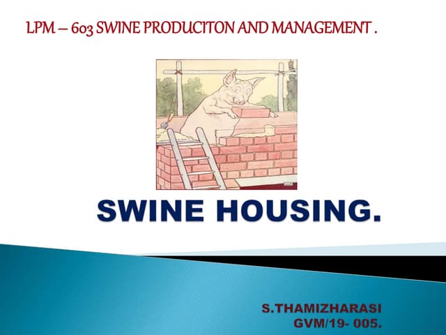 Philippine Native Chicken: The BANABA NATIVE CHICKEN of CALABARZON | DOCX