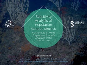 Suspect, lies and video tapes | PPT