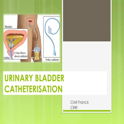 Final urinary bladder catheterisation | PPT | Surgery | Medical Health