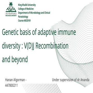 Mechanism of vd(j) recombination and generation of antibody diversity ...